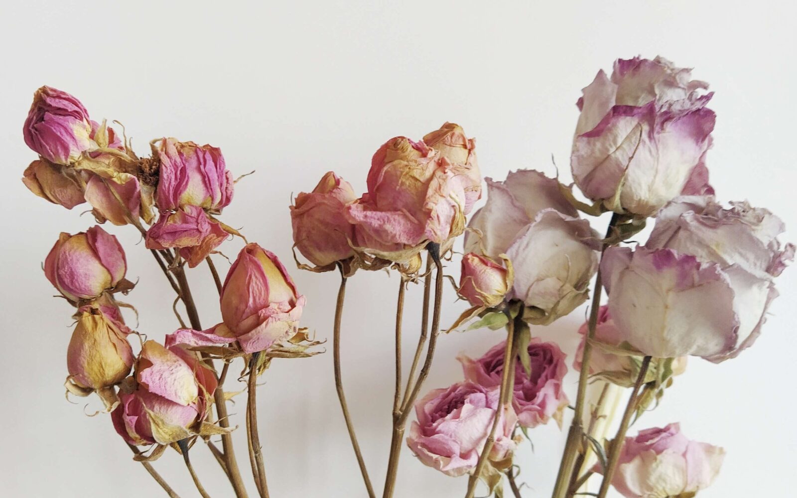 How To Treat Rosacea Naturally | Minimal Beauty